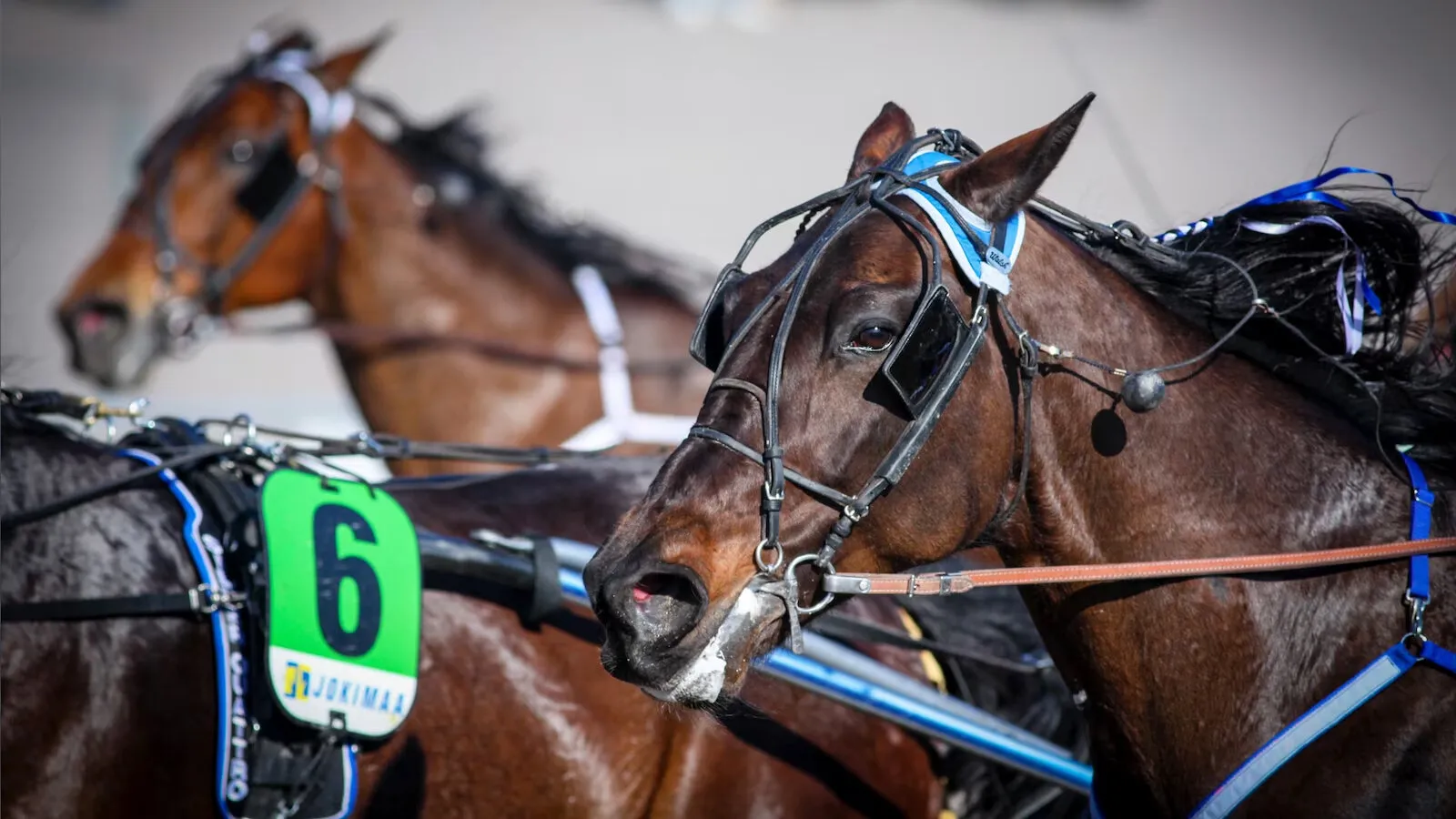 Ravit La 15.03.2025 klo 15.00 | Iltapulu.fi