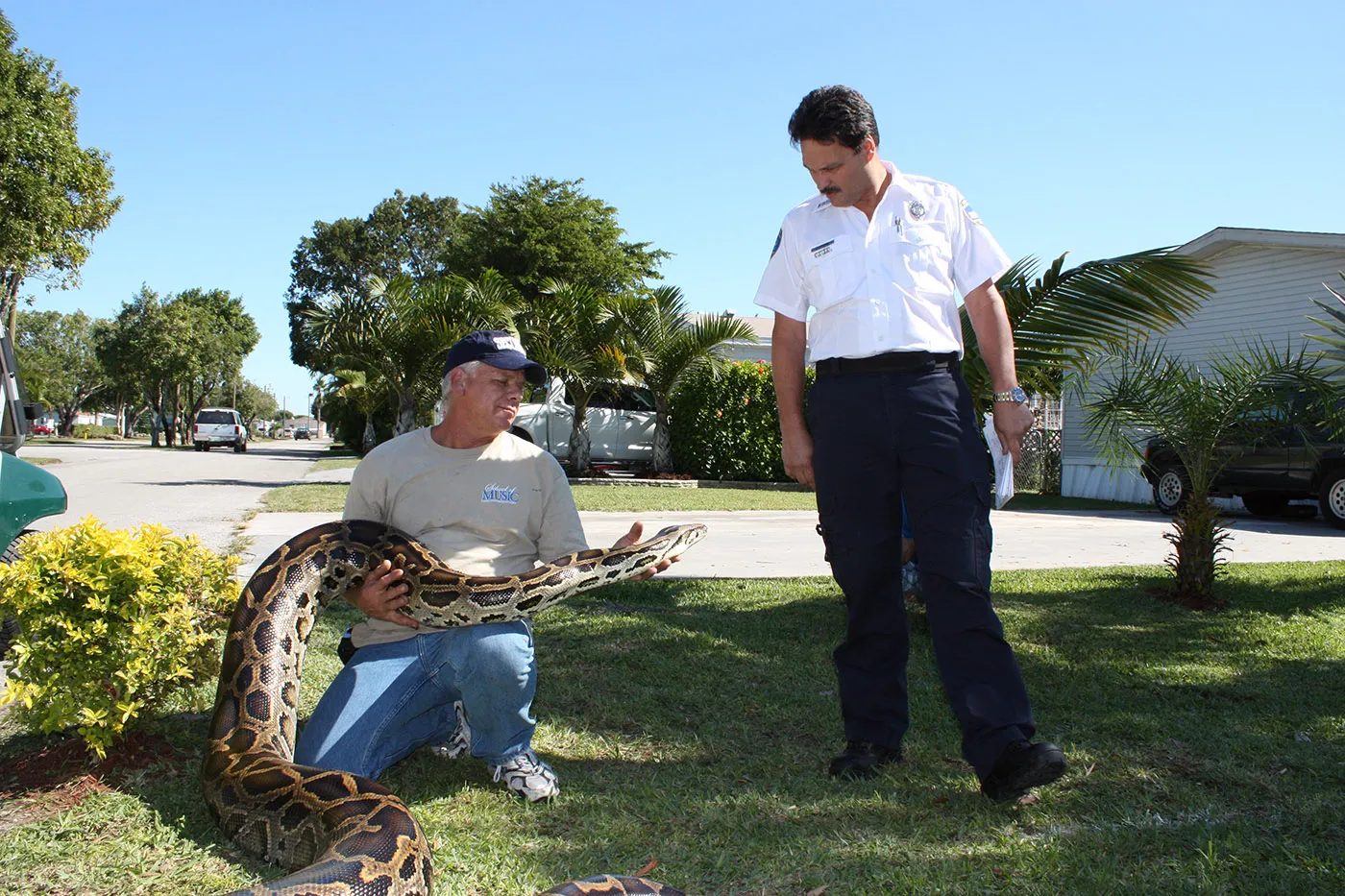 Animal Cops Miami | Iltapulu.fi