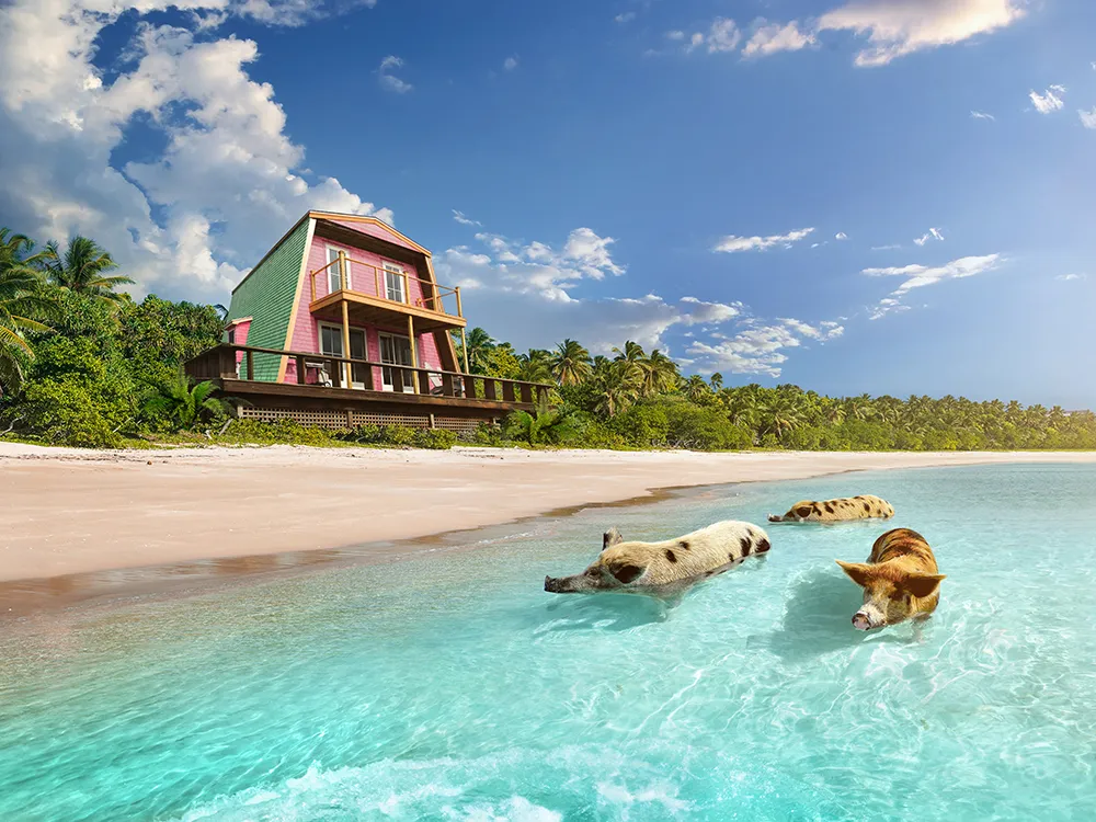 Bahama Life | Iltapulu.fi