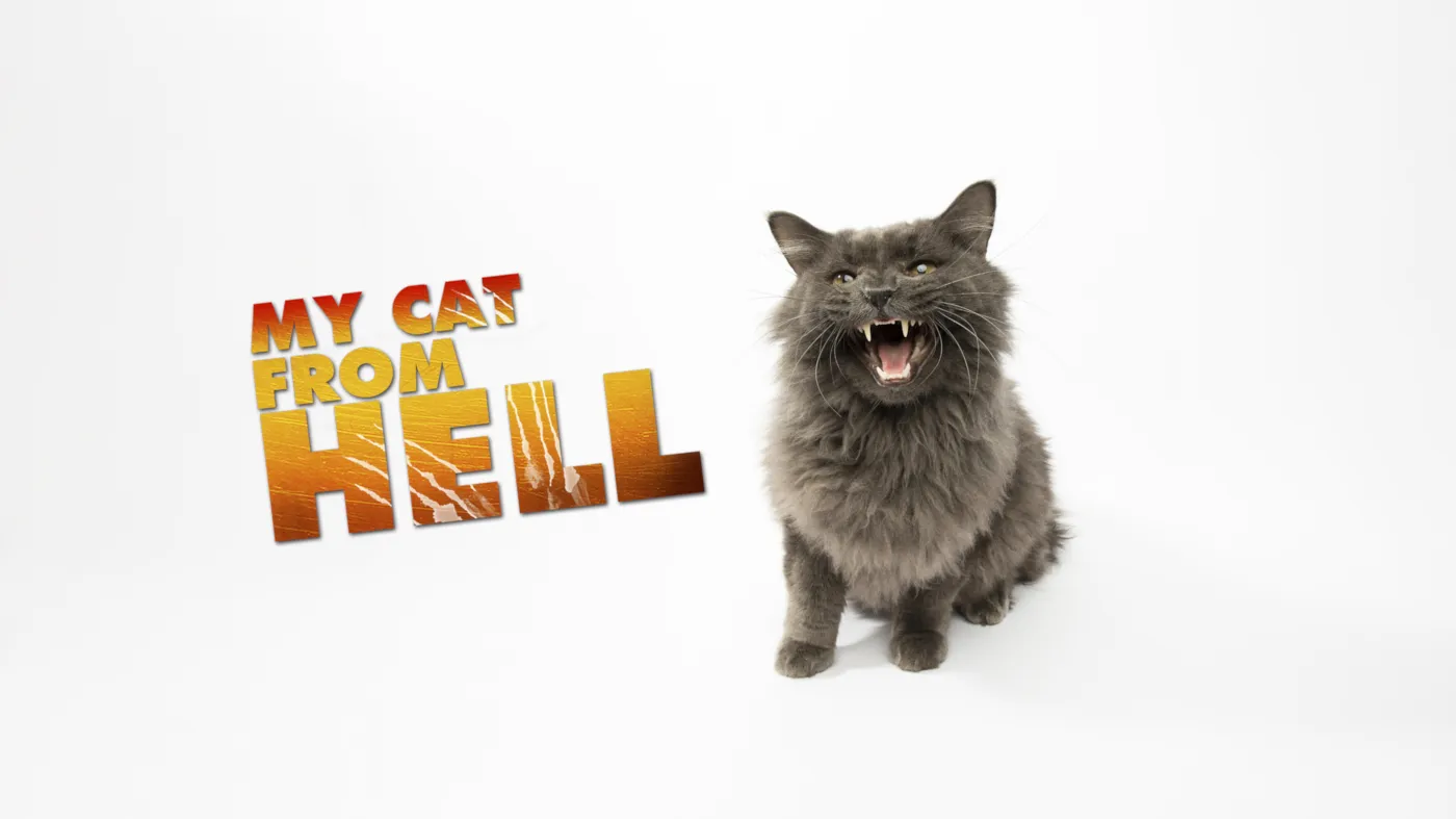My Cat From Hell | Iltapulu.fi